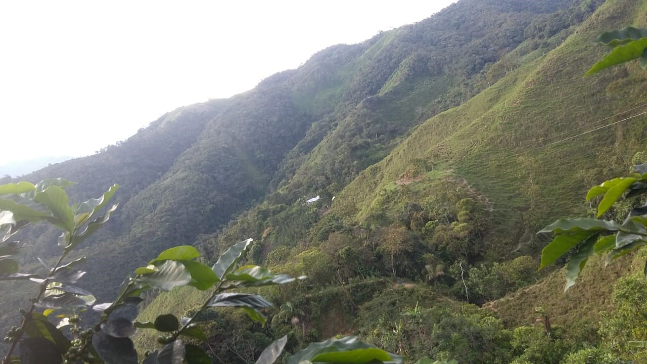 Un color más, en el libro de los sueños de los habitantes del Congal ...