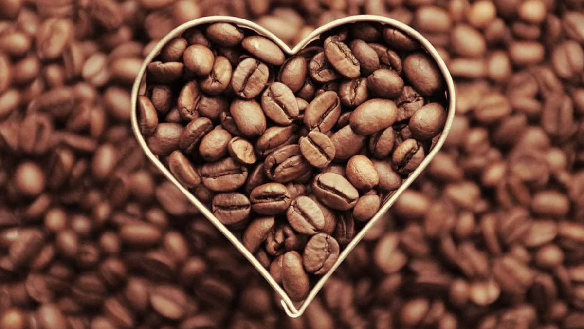 Día Internacional del Café: ¿Qué tanto conoce lo que consume? | KienyKe