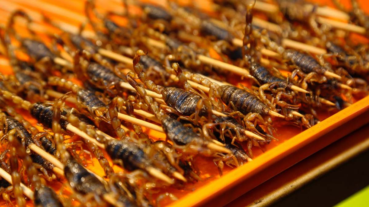 ¿Son los insectos la comida del futuro en Colombia? | KienyKe