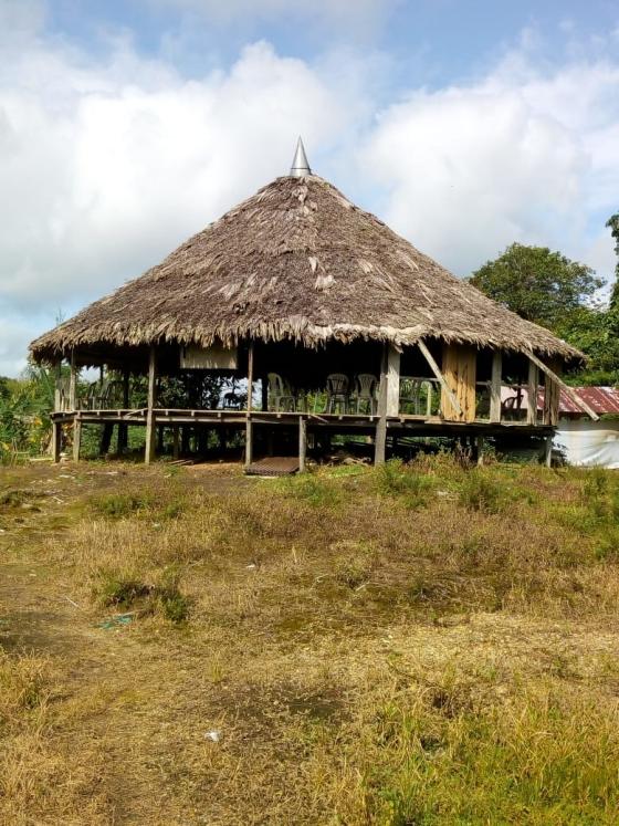 Pángala: tejiendo historia | KienyKe