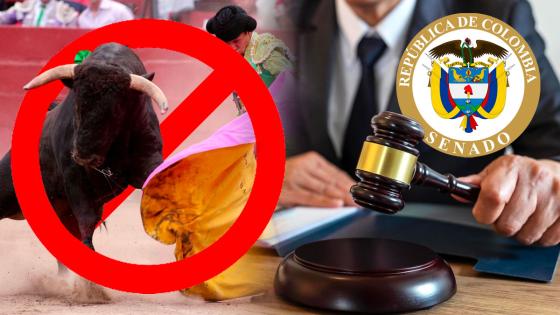 Senado aprobó proyecto de ley para prohibir corridas de toros en ...