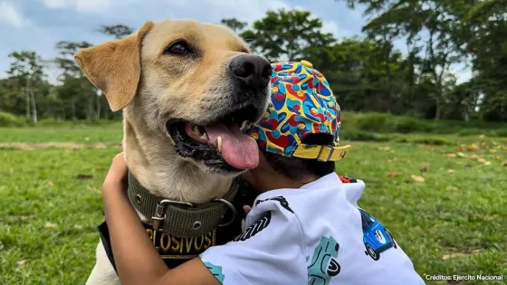 La historia detrás de Ada, la canina invidente que cambió la vida de ...