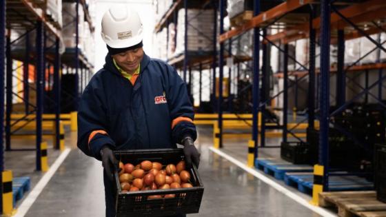 COLOMBIA - De 1 tienda a más de 1.530: la historia de Ara en Colombia ...